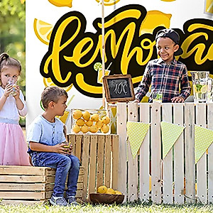 Lemonade Backdrop Banner Decor White – Lemon Party Theme Decorations for Lemonade Stand Birthday Supplies,Yellow