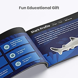 Boley Shark Toys - 8 Pack 10" Long Soft Plastic Realistic Shark Toy Set - Toddler Sensory Toys and Birthday Party Favors for Kids