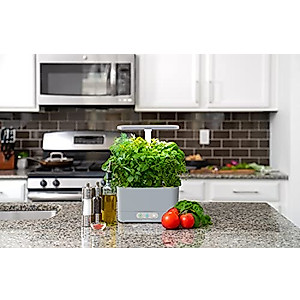 AeroGarden Harvest Indoor Garden, Grow Up to 6 Different Herbs, Vegetables, and Flowers, Seed Pod Kit Not Included, Cool Gray