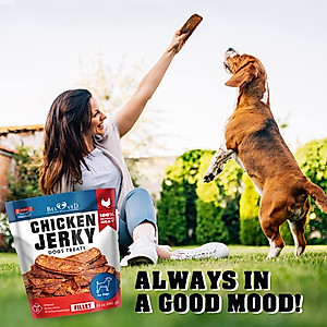Chicken Jerky Dog Treats 1.5 Lb - Human Grade Pet Snacks & Grain Free Meat - All Natural High Protein Dried Strips - Best Chews for Training Small & Large Dogs - Bulk Soft Pack Made for USA