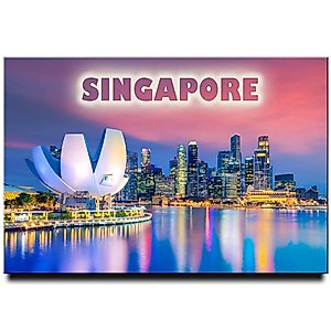 Singapore Fridge Magnet Art Science Museum Travel Souvenir Marina Bay Sands