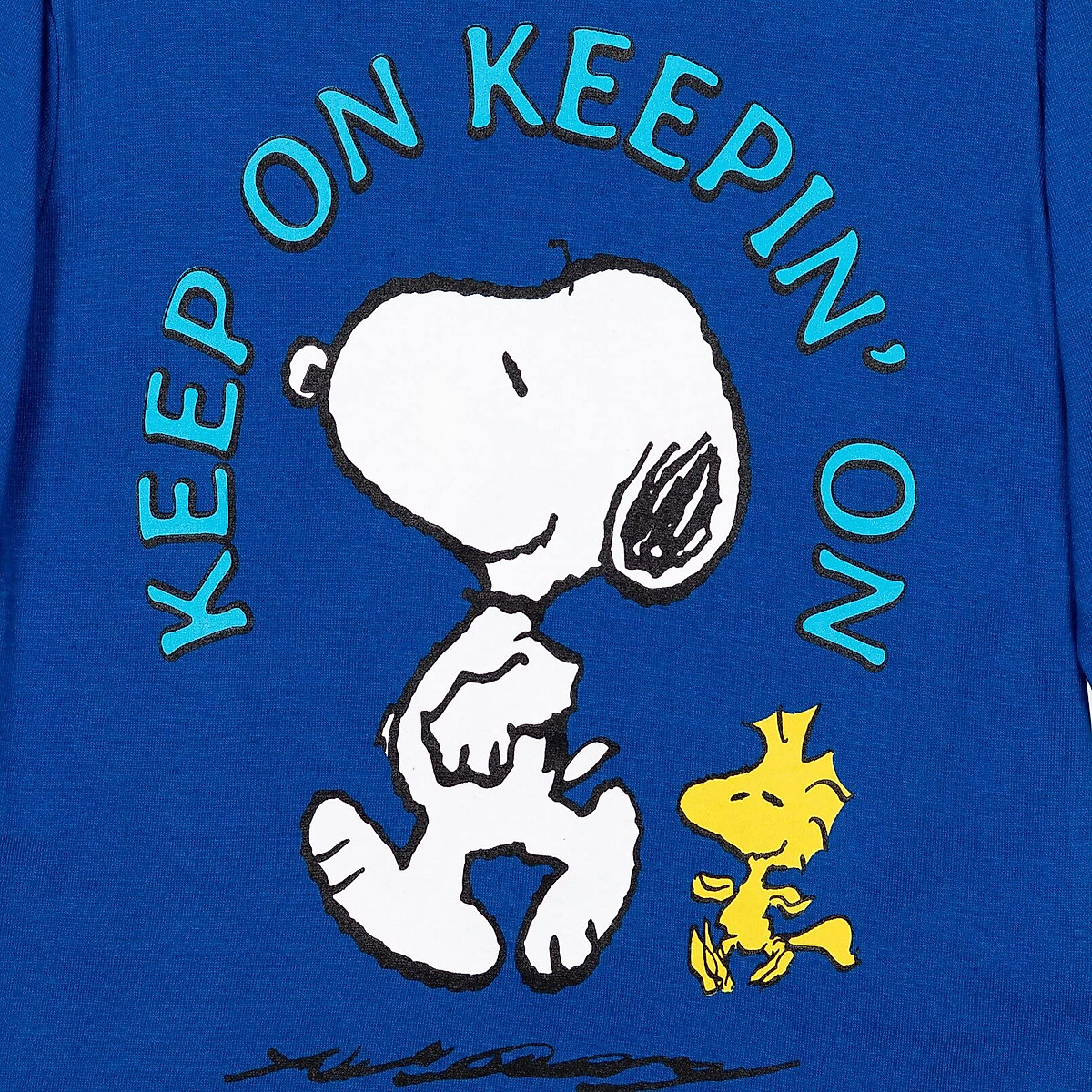 Peanuts Snoopy Charlie Brown and Friends Little Boys 2 Pack T-Shirt Blue/Grey 7-8