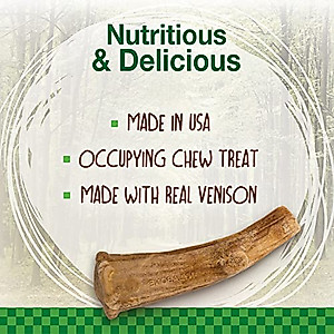 Nylabone Healthy Edibles WILD Antler Natural Long Lasting Venison Flavor Dog Chew Treats Medium/Wolf (2 Count)