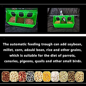 Pigeon Feeder Quail Feeder Water 2 Pack Bird Chicken Duck Feeder with 3 Hole Pet Bowls & Feeders Eat Food (Three Hole)