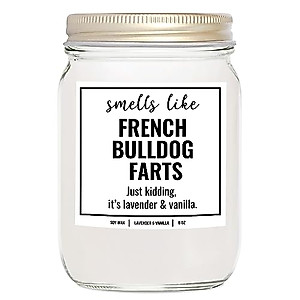 You Nique Designs French Bulldog Candle, 8 Oz, French Bulldog, Frenchie Dad Gifts for Men Women, French Bull Dog Candle, White All Natural Soy Vegan Aromatherapy Candles (Lavender & Vanilla)