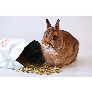 Small Pet Select Rabbit Food Pellets, 10 Lb.