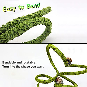 Hermit Crab Climbing Toys, Jungle Vines for Reptiles, Small Animal Terrarium Decor, Bendable, Artificial, for Hermit Crab, Frog, Reptile