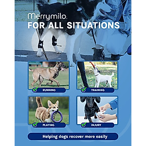 MerryMilo Dog Leg Brace for Rear Hock & Ankle, Canine Hind Leg Joint Compression Wrap for Torn ACL & CCL, Injury and Sprain Protection, Wound Care and Loss of Stability from Arthritis 1 Pair (Size: M)