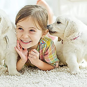 12/18 Pairs Cute Funny Earrings Weird Earrings Mushroom Goldfish Water Bottle Earrings Milk Tea Dangle Earrings Bulk for Women