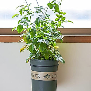 Happyyami 6 pcs Rings Railing Heavy Duty Hook Planter/Hanging Pots Wall Bonsai Decor Indoor Mounted for Home The Black Planters Over Outdoor Baskets Decoration Plants Balcony Fence Basket