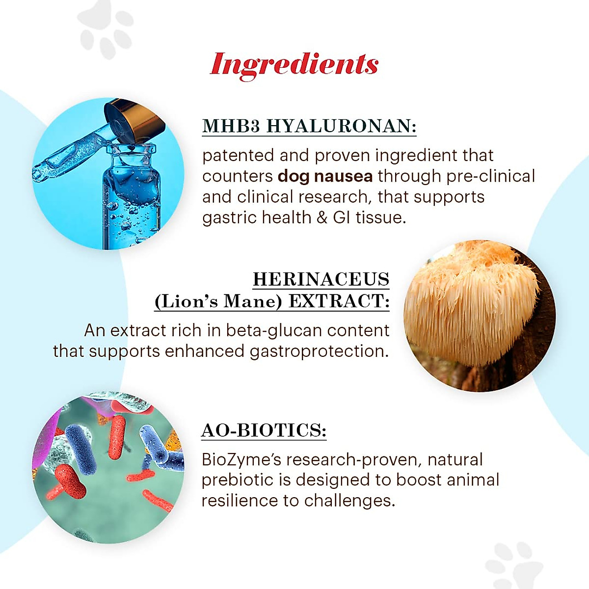 Vitalize Alimend K9 - Dog Upset Stomach Relief for Nausea, Vomiting & Diarrhea - 6 Oz