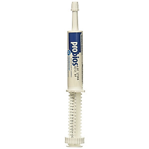 Probiocin Oral Gel 15gm Syringe