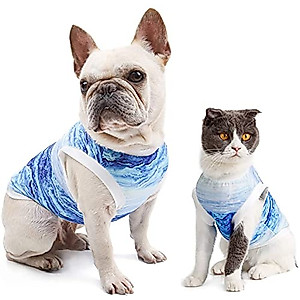 DELIFUR Dog Cool Vest Instant Cooling Clothes for Bulldog Cats on Summer (XX-Large)