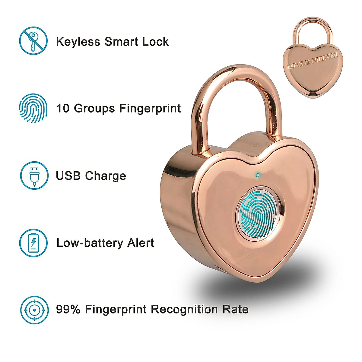 Tcyoatoa Heart Shaped Fingerprint Padlock, Small Smart Padlock for Gym Locker, Backpag, School, Mailbox, Travel Suitcase (Rose Gold)