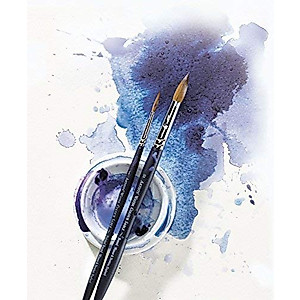 Winsor & Newton Professional Watercolour Sable Brush, Round #10