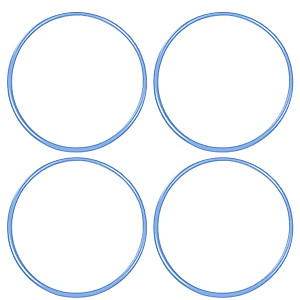 Max Water O-Rings for Membrane Housing Cap 4040 and 4021 (4)
