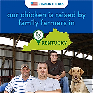 Spot Farms Chicken Apple Sausage Healthy All Natural Dog Treats Human Grade Made in USA 12.5 oz