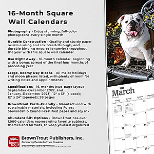 Bulldogs | 2023 12 x 24 Inch Monthly Square Wall Calendar | Foil Stamped Cover | BrownTrout | Animals Dog Breeds DogDays