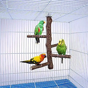 Filhome Bird Perch Stand Toy, Natural Wood Parrot Perch Bird Cage Branch Perch Accessories for Parakeets Cockatiels Conures Macaws Finches Love Birds (M: 10" Length)