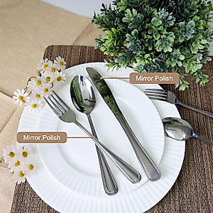 Silverware Set, EVOLUTION TODAYSHOME 20 Piece Stainless Steel Flatware, Service for 4 Cutlery Set Utensils, for Home Kitchen Restaurant, Include Knives Spoons Forks, Mirror Polished, Dishwasher Safe