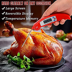 Big Meat Injectors For Smoking - Stainless Steel Meat Injector Syringe Starter Kit, 2oz Marinade Injector Gift Set with 3 Needles, Food Thermometer & Basting Brush - Food Injector