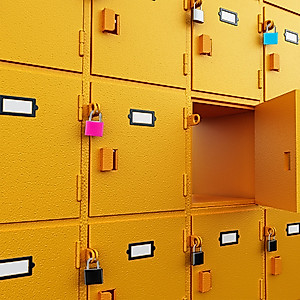 4 Pcs Suitcase Locks with Keys Multicolor Mini Keyed Padlock Febwind Metal Padlock Luggage Padlocks Plastic-Covered Copper Keyed Padlock for Suitcase, Backpack, Boxes, Laptop Bag