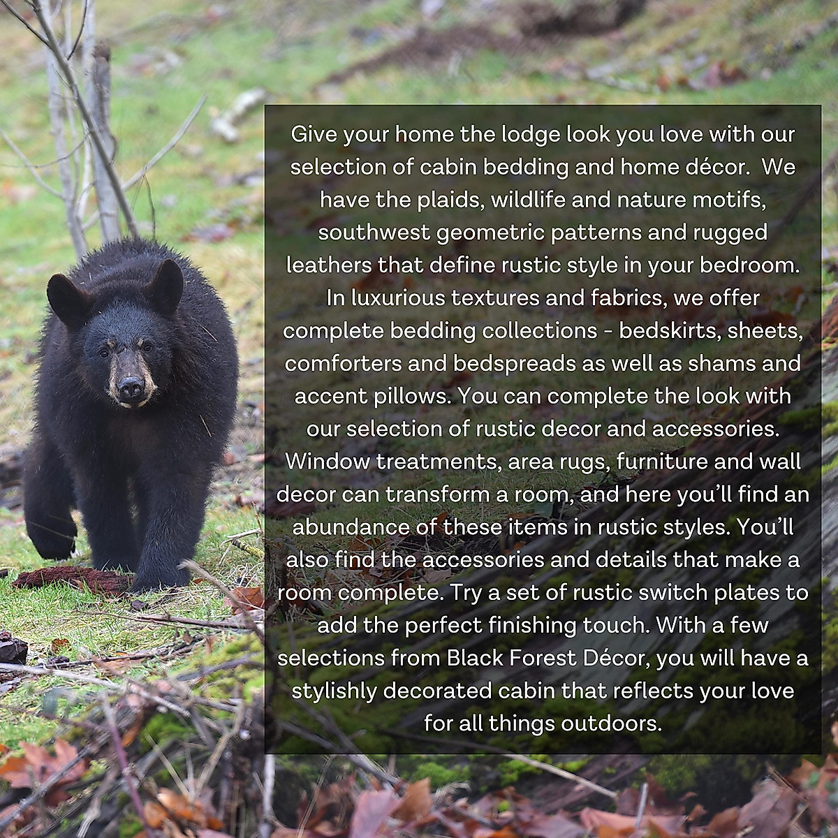 Bear Climbing Paper Towel Holder