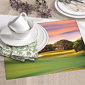 Golf Course Printed Drying Mat For Kitchen Ultra Absorbent Microfiber Dishes Drainer Mats Non-Slip Silicone Quick Dry Pad - 18 X 16inch