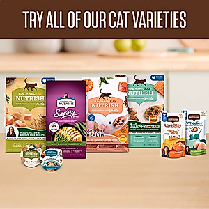 Rachael Ray Nutrish Savory Bites Dry Cat Food, Tasty Salmon & Veggies Recipe, 5 Pound Bag