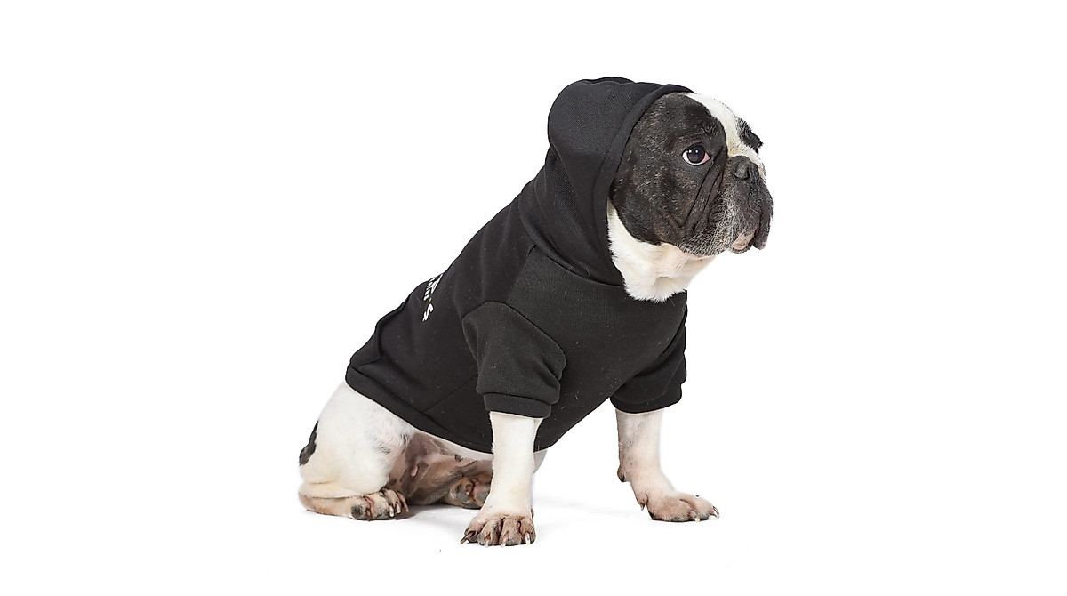 Friends Dog Hoodie - Official WB Pet Apparel in Black