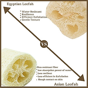 2 Exfoliating Body Scrubber Loofah Mittens Bath Sponge, All-Natural Egyptian Bath & Shower Exfoliating washcloth - Loofa Natural Sponge for Face, Back & Body, Eco Friendly and Biodegradable Loufa