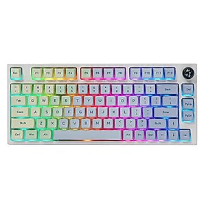 EPOMAKER TH80 Pro Wireless Gaming Keyboard, 3 Modes (2.4Ghz/Bluetooth 5.0/USB-C Wired) Mechanical Keyboard, Hot Swappable, RGB Backlit, for Windows/Mac/PS5/PS4/Xbox (Monet, Gateron Pro Yellow)