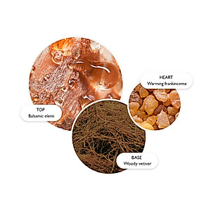 Molton Brown Festive Frankincense & Allspice Fine Liquid Hand Lotion 10 fl. oz.