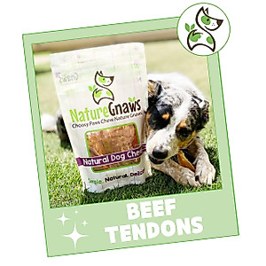 Nature Gnaws Beef Tendons for Dogs 4-5" (5 Count) - Mixed Thickness - Long Lasting for Small and Medium Dogs - Natural Beef Jerky Dog Chew Bones - Rawhide Free