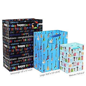 12 Pcs Birthday Gift Bags, Large, Medium and Small Gift Bags Assortment for Boys, Girls, Women, Men (Assorted Sizes)