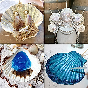 QEQEKAKA 6PCS Scallop Shells 4‘’-4.5" Natural Sea Shells White Hawaiian Scallop Shells for Baking DIY Craft Home Vase Fillers & Beach Wedding Party Decor