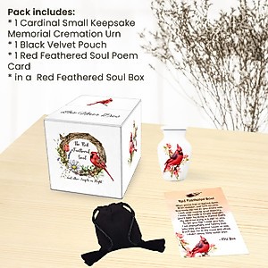 Lola Bella Gifts Cardinal Small Keepsake Memorial Cremation Urn and Red Feathered Soul Poem Card with Box Grief Sympathy Gift