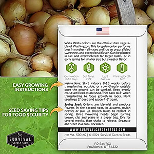 Survival Garden Seeds - Walla Walla Onion Seed for Planting - Packet with Instructions to Plant and Grow Deliciously Sweet Long Day Onions in Your Home Vegetable Garden - Non-GMO Heirloom Variety