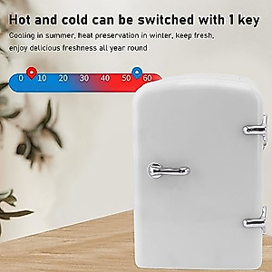 Mini Beauty Fridge, Portable Cooler Warmer Refrigerator ABS Plastic 36W AC100-240V DC12V Noiseless for Office (US Plug)