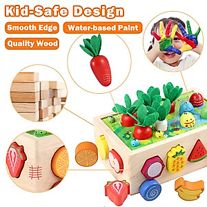BAYMI Toddler Wooden Educational Montessori Toys, Baby Gifts for 2 3 4 Year Old Girls & Boys, Fine Motor Skill Carrot Harvest & Shape Sorting Learning & Education Developmental Toys for Kids 2-4