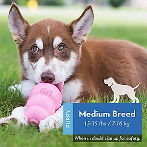 KONG - Puppy Toys for Teething with Puppy Easy Treat Stuffing (Colors May Vary) - for Medium Puppies