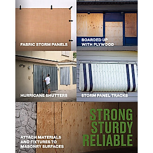 The Hillman Group 831489 1/4 X 3/4-Inch Stainless Steel Hurricane Bolt, 100-Pack