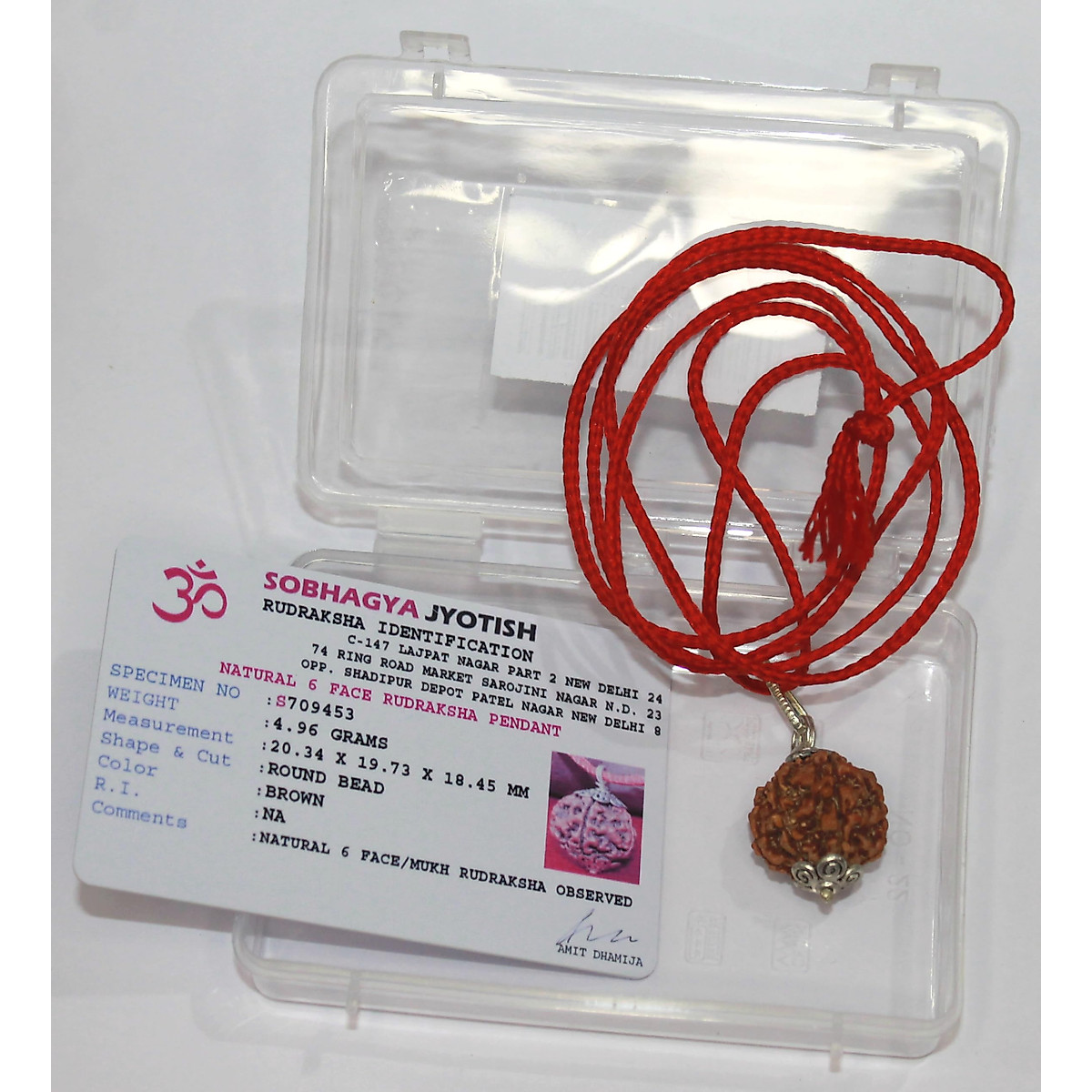 IndianStore4All 6 Mukhi Nepal Rudraksha Penadnt 100% Original Six Face Rudraksha