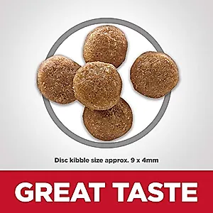 Hill's Science Diet Adult Cat Dry Perfect Digestion, Chicken, Brown Rice, & Whole Oats Recipe, 3.5 lb. Bag