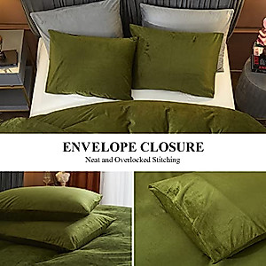 Ivellow Velvet Duvet Cover Queen Set Sage Green Velvet Duvet Cover Queen Velvet Comforter Cover 3Pcs Ultra Soft Duvet Cover Breathable Solid Luxury Flannel Velour Duvet Cover Zipper Closure Corner Tie