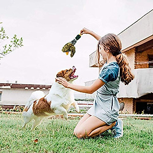 SUNKYPUP Plush Mallard Duck Dog Toy, Squeaky Dog Toy, Plush Dog Chew Toy for Large Dogs, 15-Inch…