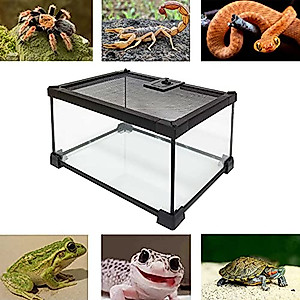 kathson Mini Reptile Glass Terrarium Tank 12"x8"x6" Amphibians Habitat Cage Full View Visually Appealing Sliding Screen Top for Bearded Dragons Lizards Geckos Hermit Crab Frog