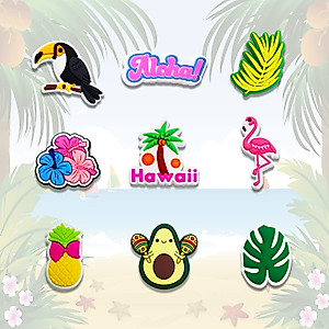 25PCS Hawaii Shoe Charms for Croc Bubble Slides Clogs Sandals, Summer Beach Shoe Accessories Decorations for Girls Women Teens Adults