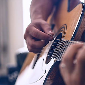 INKNOTE 53 PCS Guitar Accessories Kit-Acoustic Guitar Bridge Pins Pegs,Bridge Pin Puller Remover,Capo,Guitar Picks,Pick Holder and Guitar Saddle Nut,with Guitar Scale Sticker and dust-free cloth