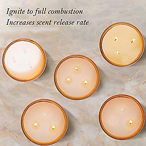 TALENT FAREAST Red Cherry & Vanilla Highly Scented Candle for Home 16 OZ Aromatherapy Candles Relaxing Enhanced Aroma Luxury Gift 40 Hour Long Lasting Natural Soy Wax Premium Fragrance Glass Candle